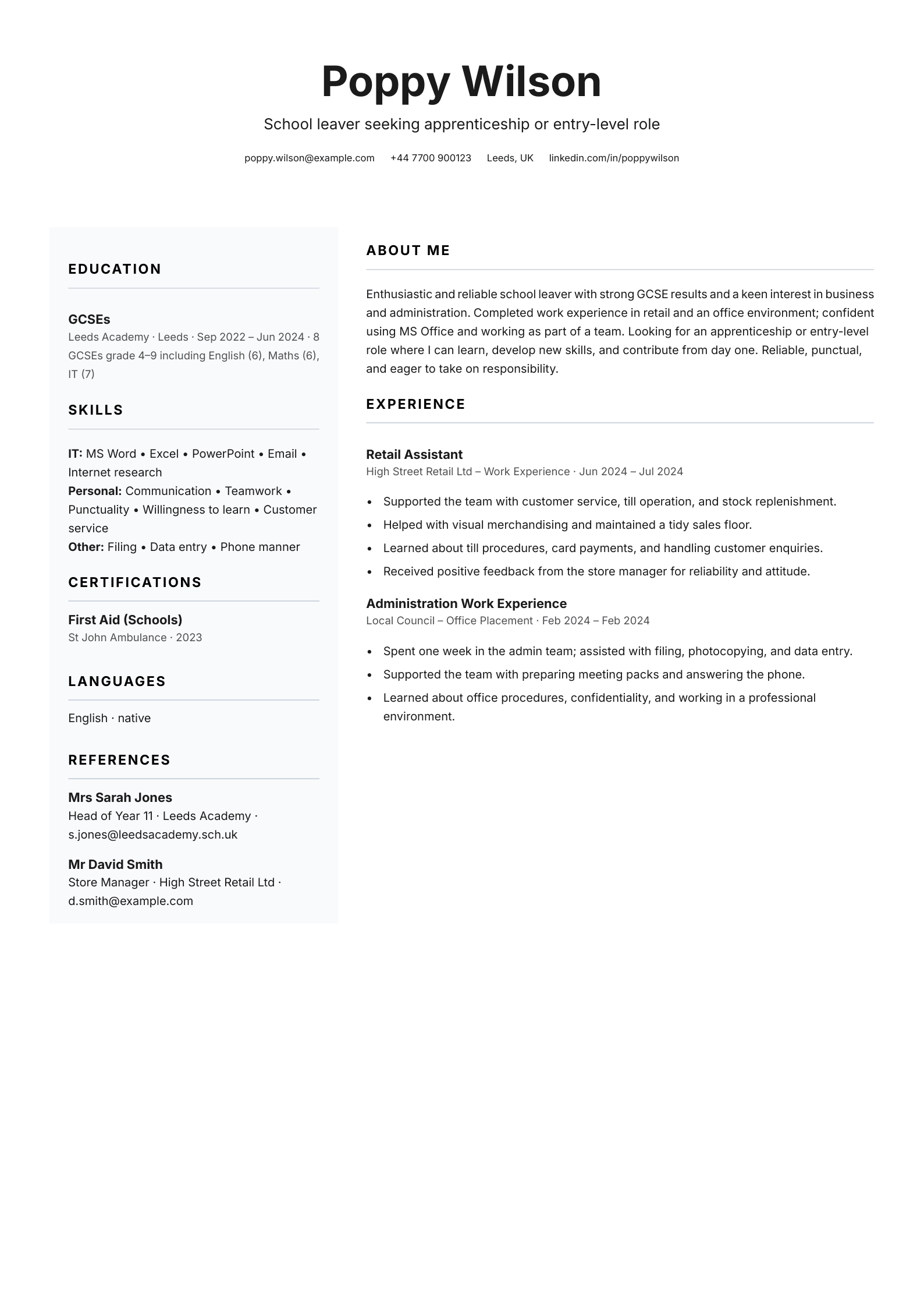 9+ School Leaver CV Templates | Modern CV