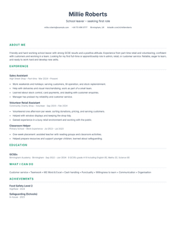 9+ School Leaver CV Templates | Modern CV