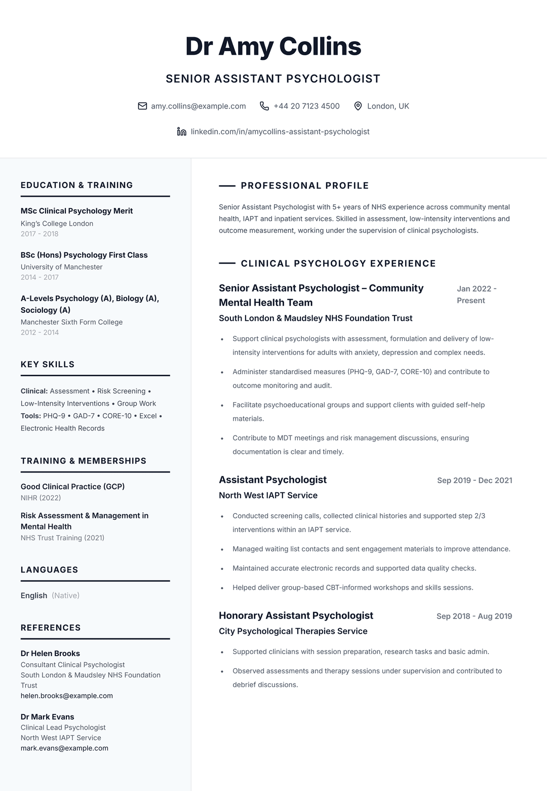 20+ Free Assistant Psychologist CV Templates | Modern CV